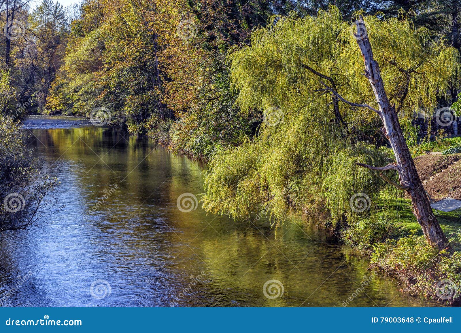 Wallace River photo stock. Image du lifestyle, danger - 79003648