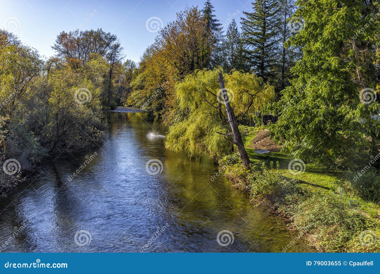 Wallace River stock image. Image of flowing, landscape - 79003655