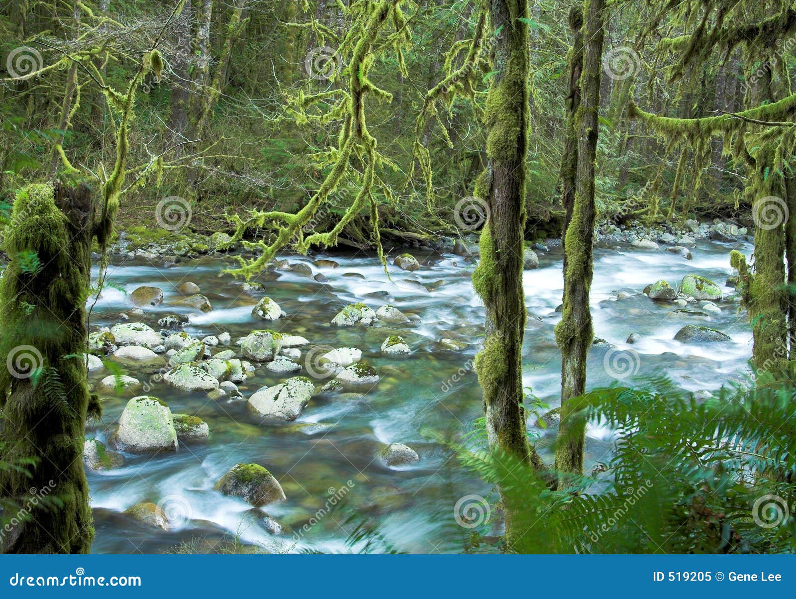 Wallace River in Winter stock image. Image of gentle, harmonious - 519205
