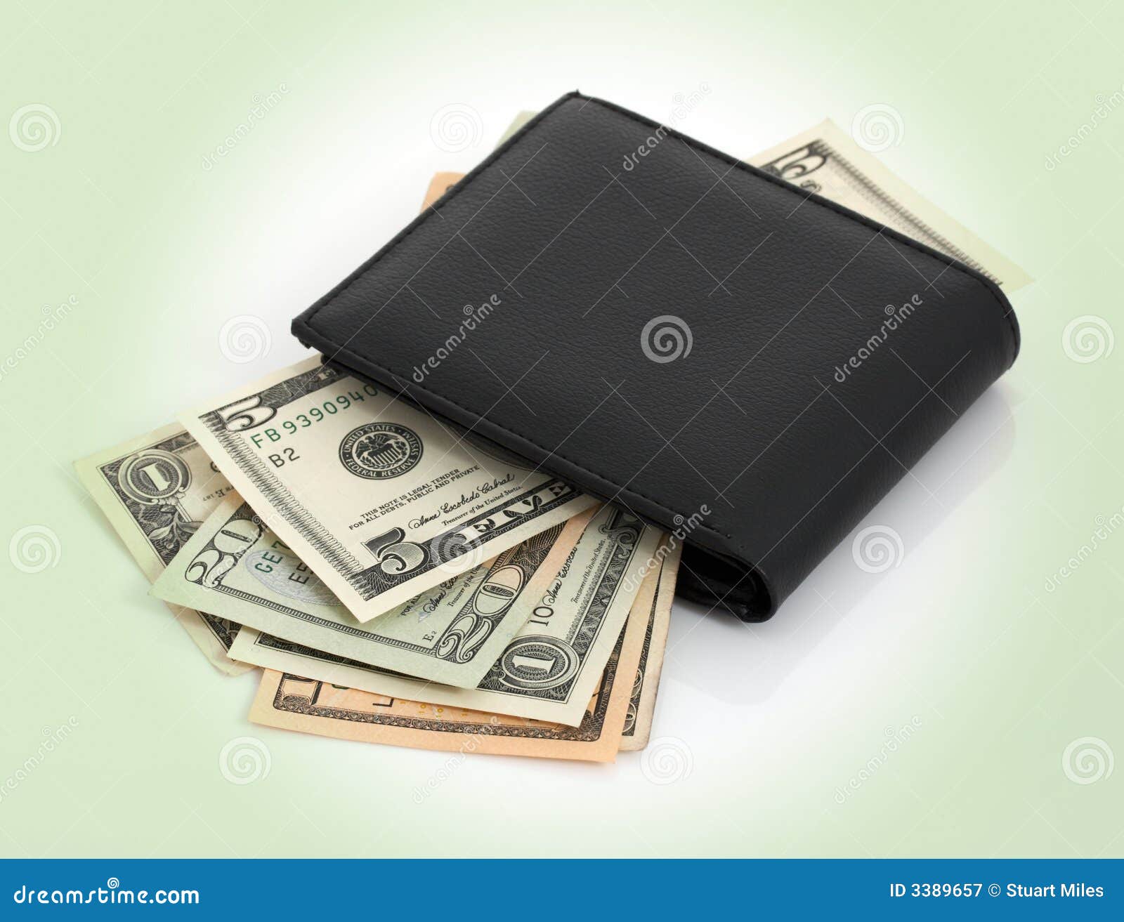 Wallet stock image. Image of rich, dollars, spend, leather - 3389657