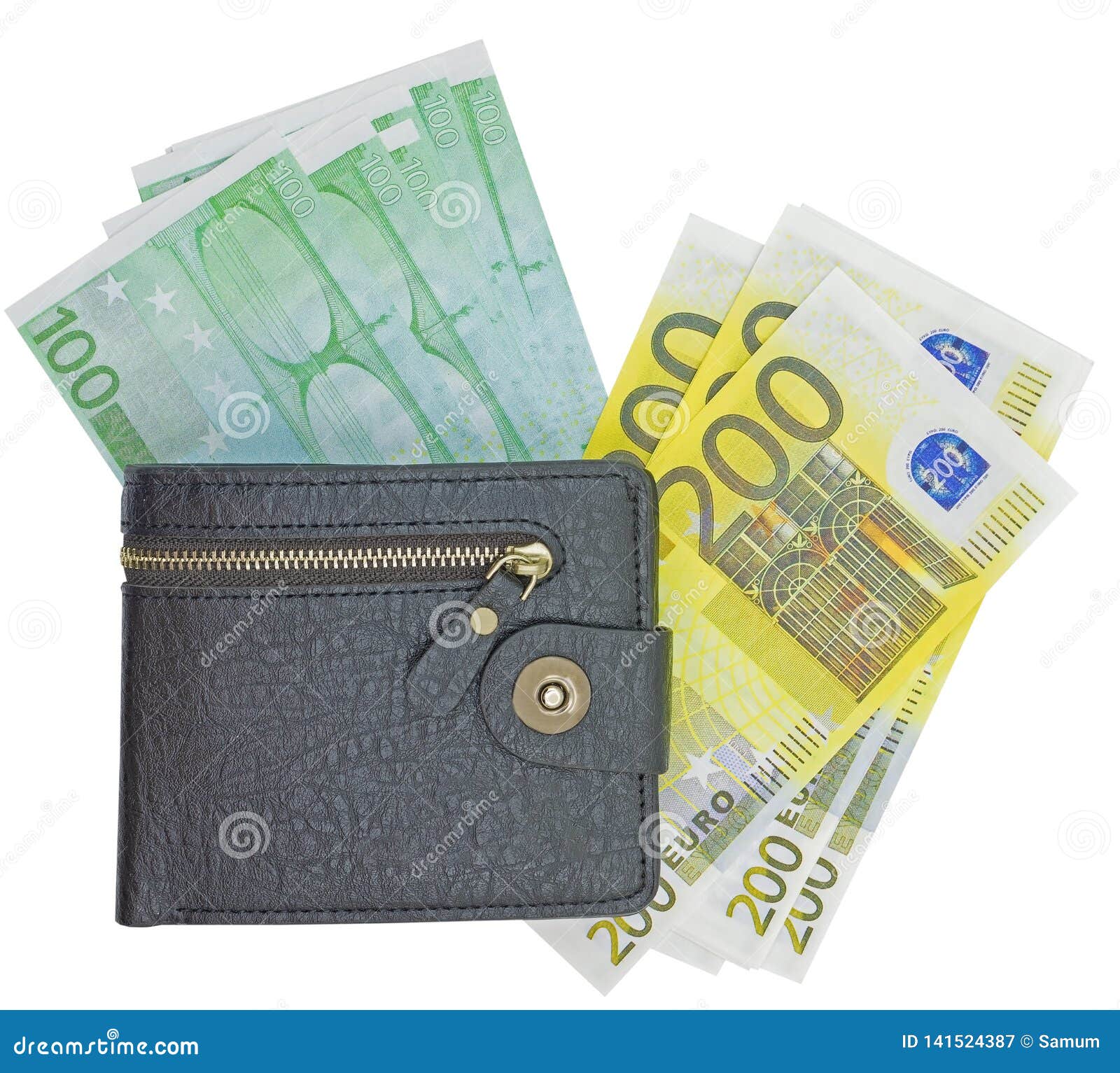 Wallet with euro stock image. Image of isolated, idea - 141524387