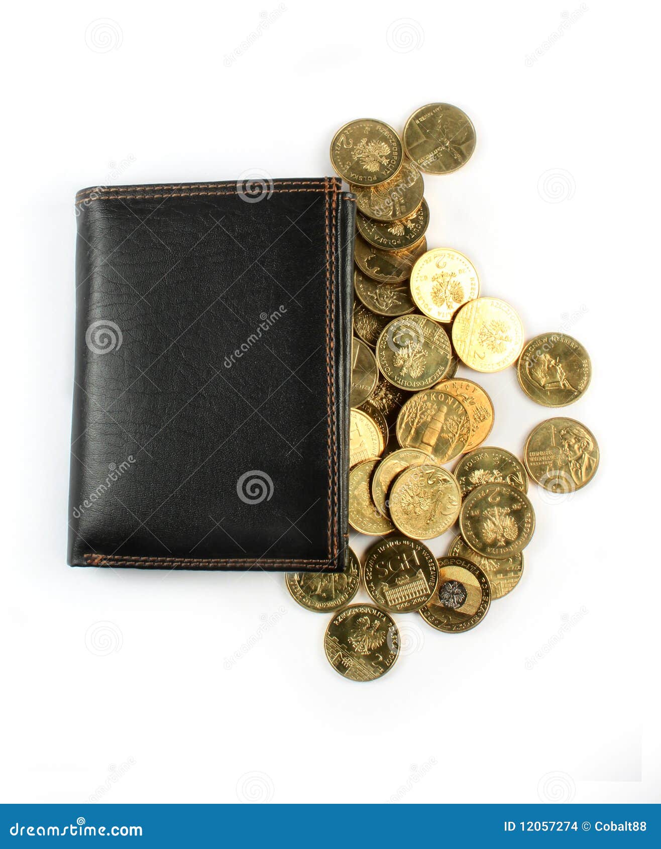 Wallet with golden coins stock photo. Image of business - 12057274