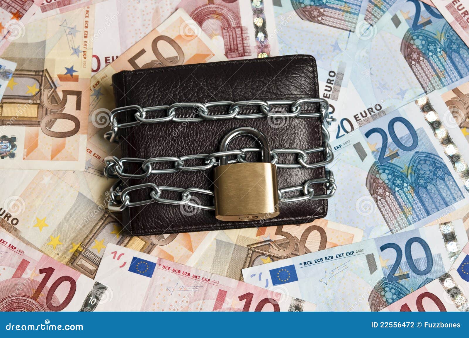 Wallet locked stock photo. Image of wallet, financial - 22556472