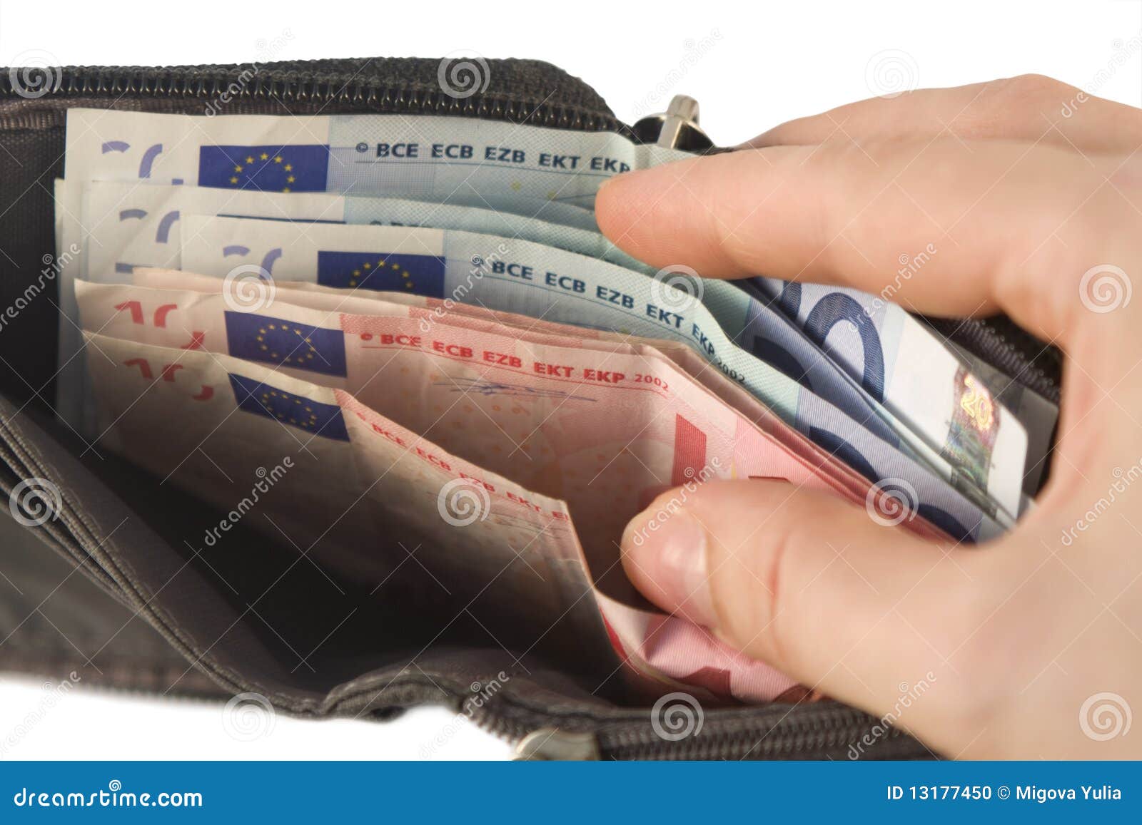 Wallet with money stock photo. Image of copy, fortune - 13177450