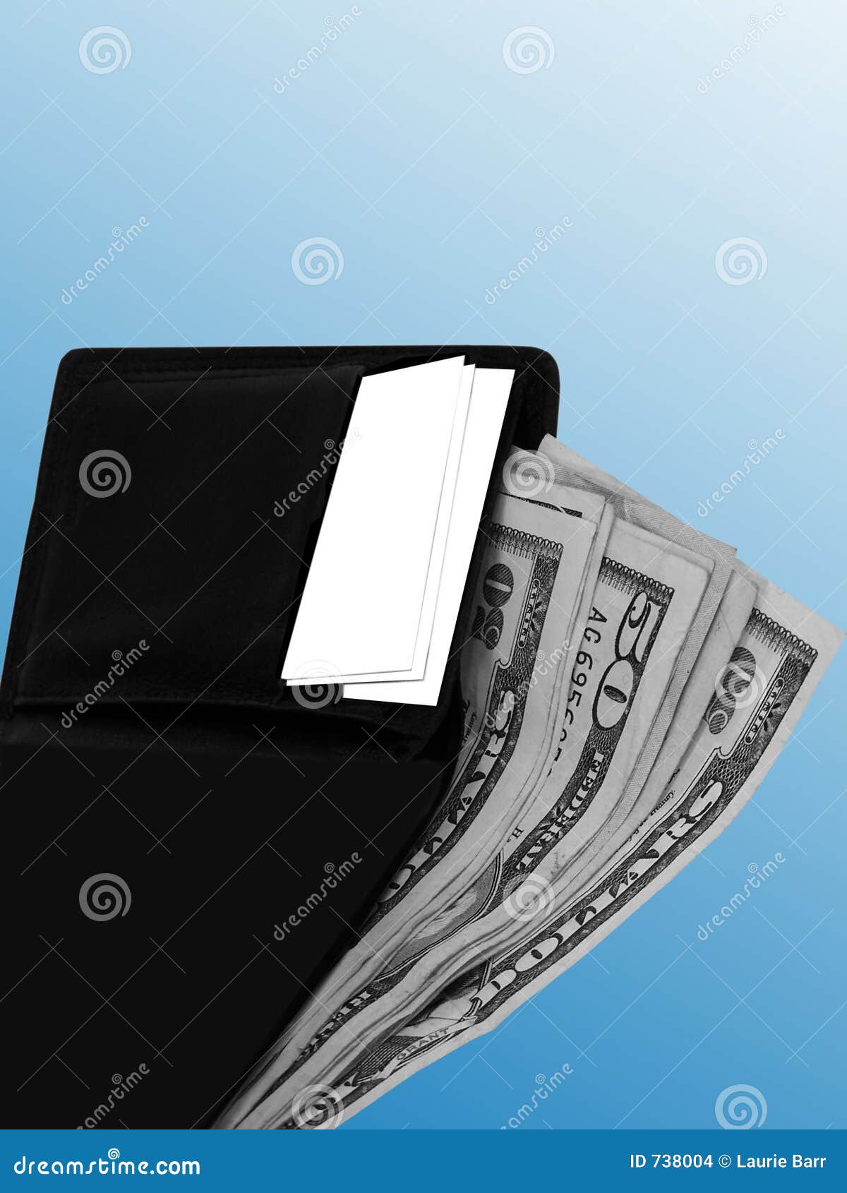 Wallet And Money Picture. Image: 738004