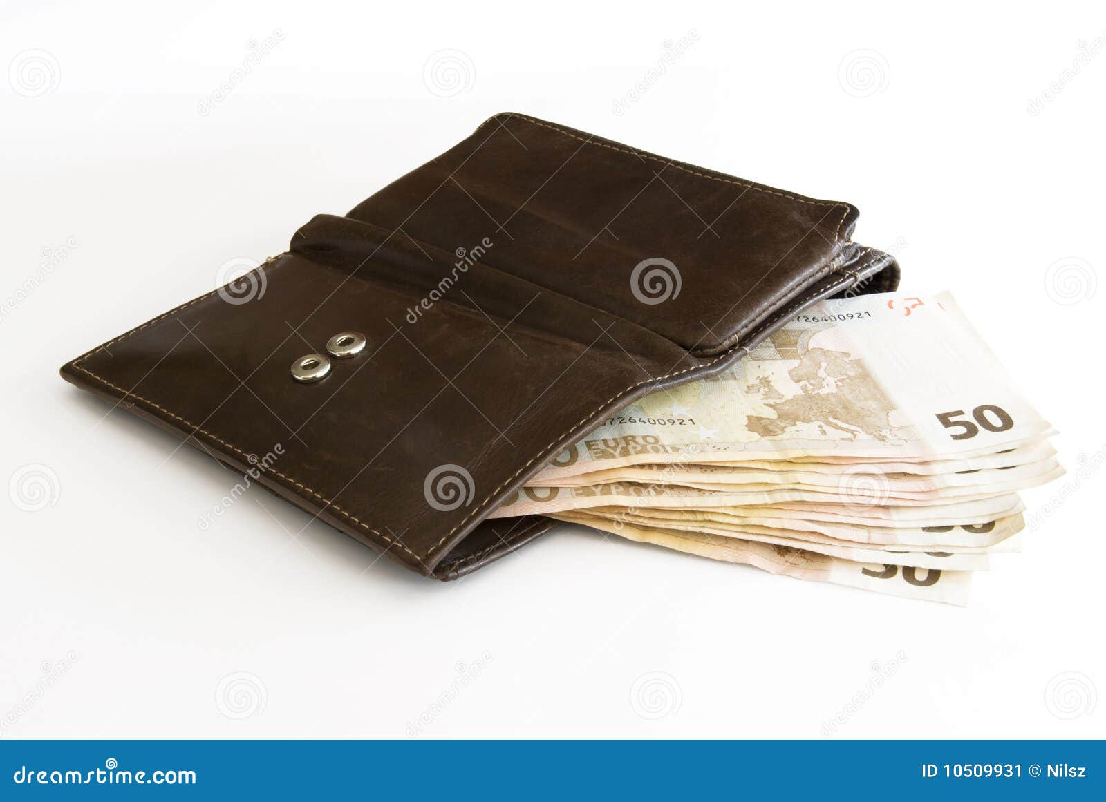 Wallet with Notes stock image. Image of money, income - 10509931