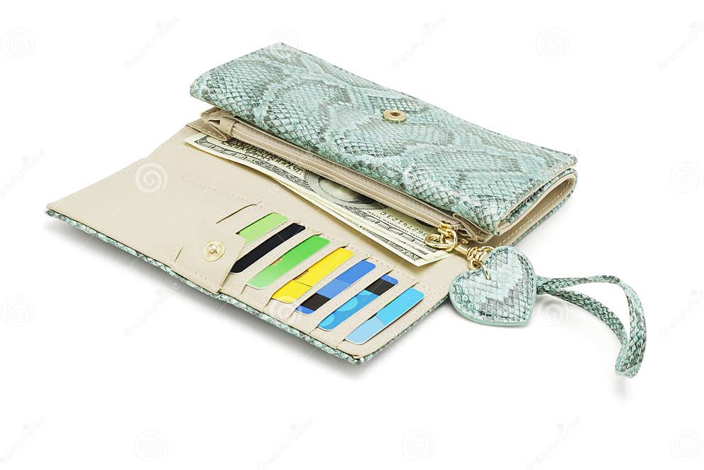 Snake Skin Wallet stock image. Image of credit, shape - 30235739