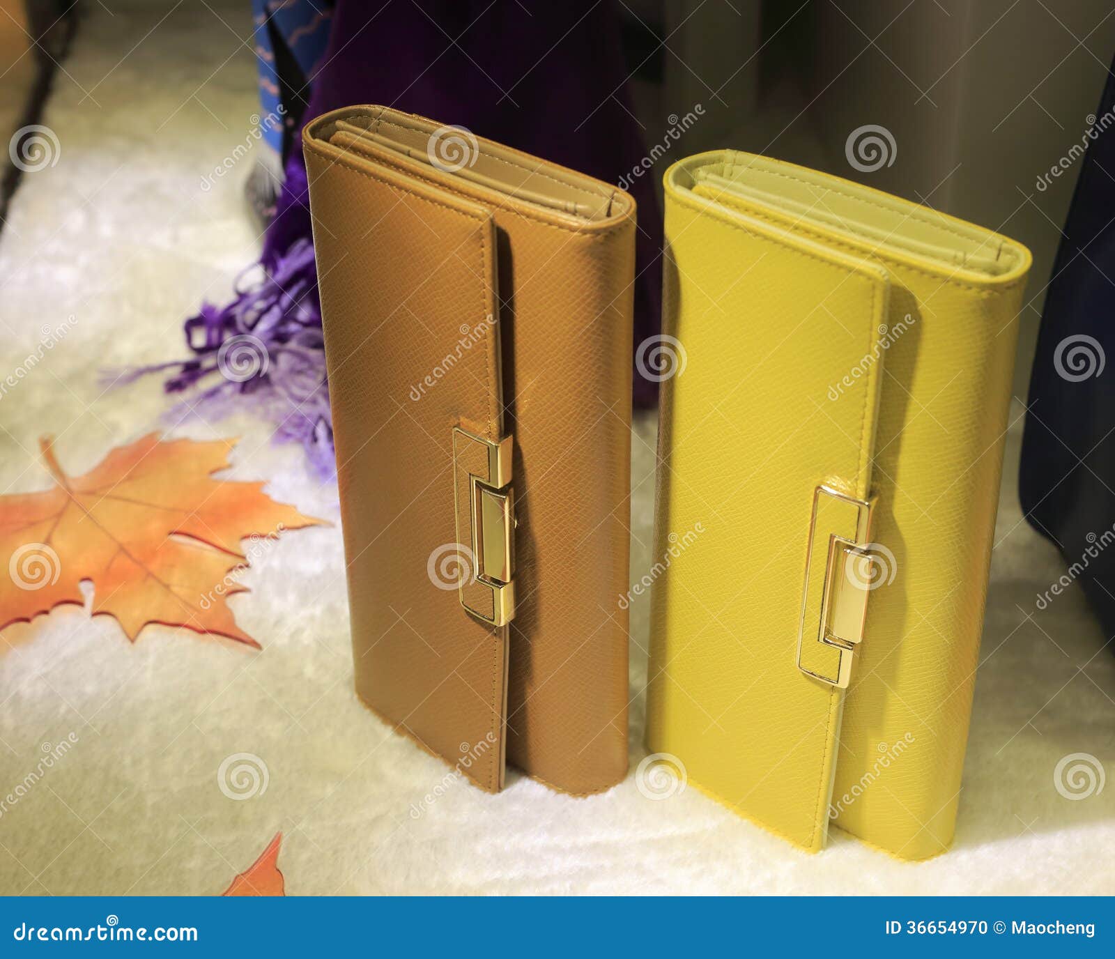 Wallet stock photo. Image of banking, isolated, genuine - 36654970