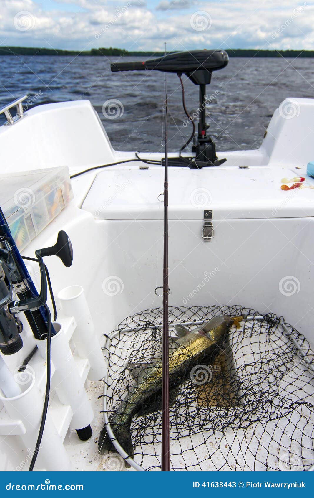 Walleye boat fishing stock image. Image of lake, lure - 41638443