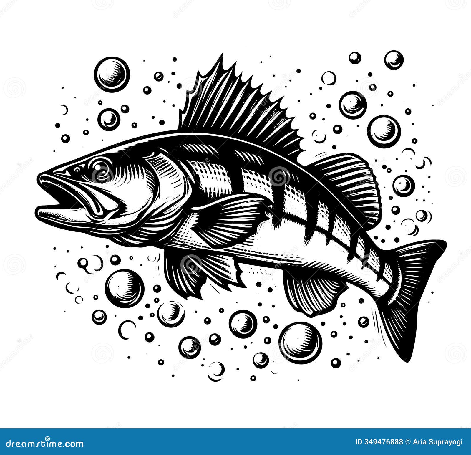 Walleye Fish Hand Drawn Vintage Vector Stock Illustration ...