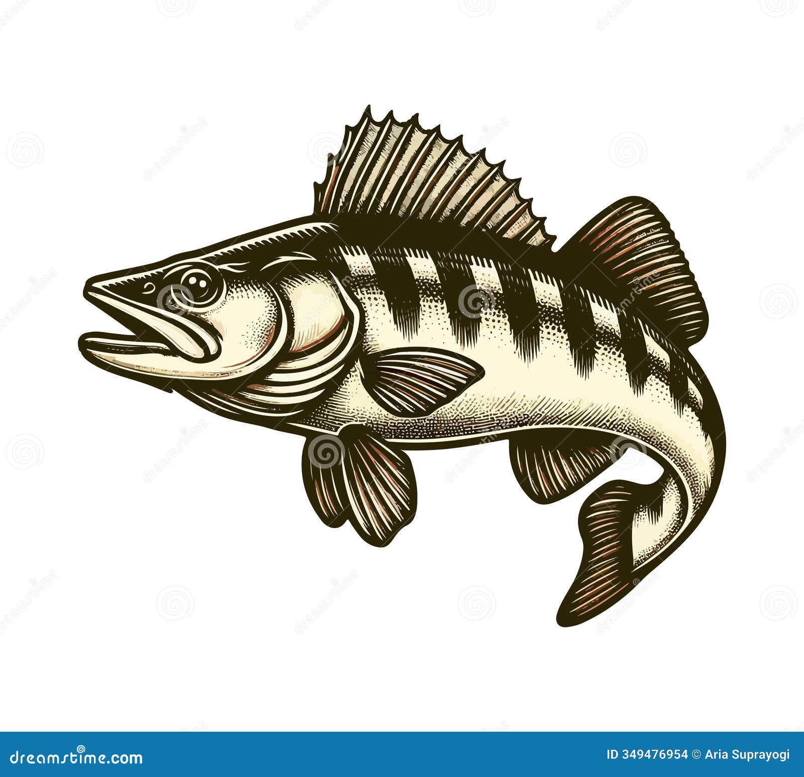 Walleye Fish Hand Drawn Vintage Vector Stock Illustration ...