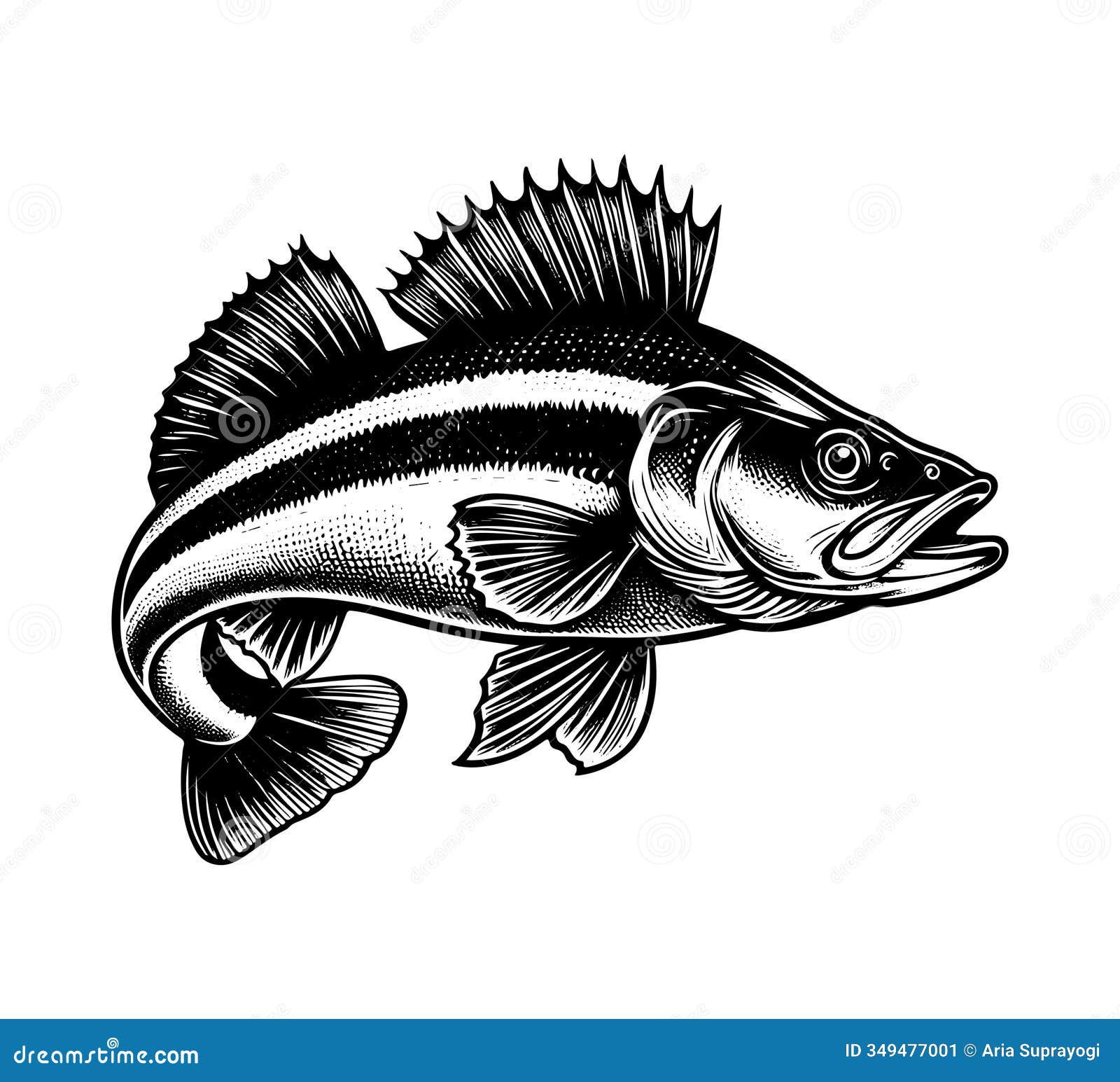 Walleye Fish Hand Drawn Vintage Vector Stock Illustration ...