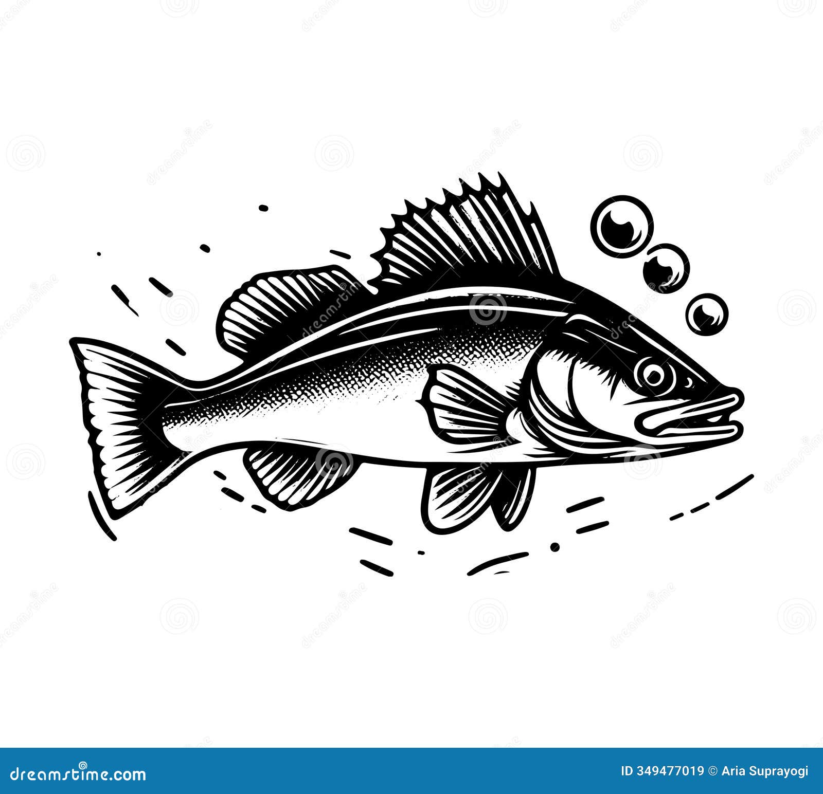 Walleye Fish Hand Drawn Vintage Vector Stock Illustration ...