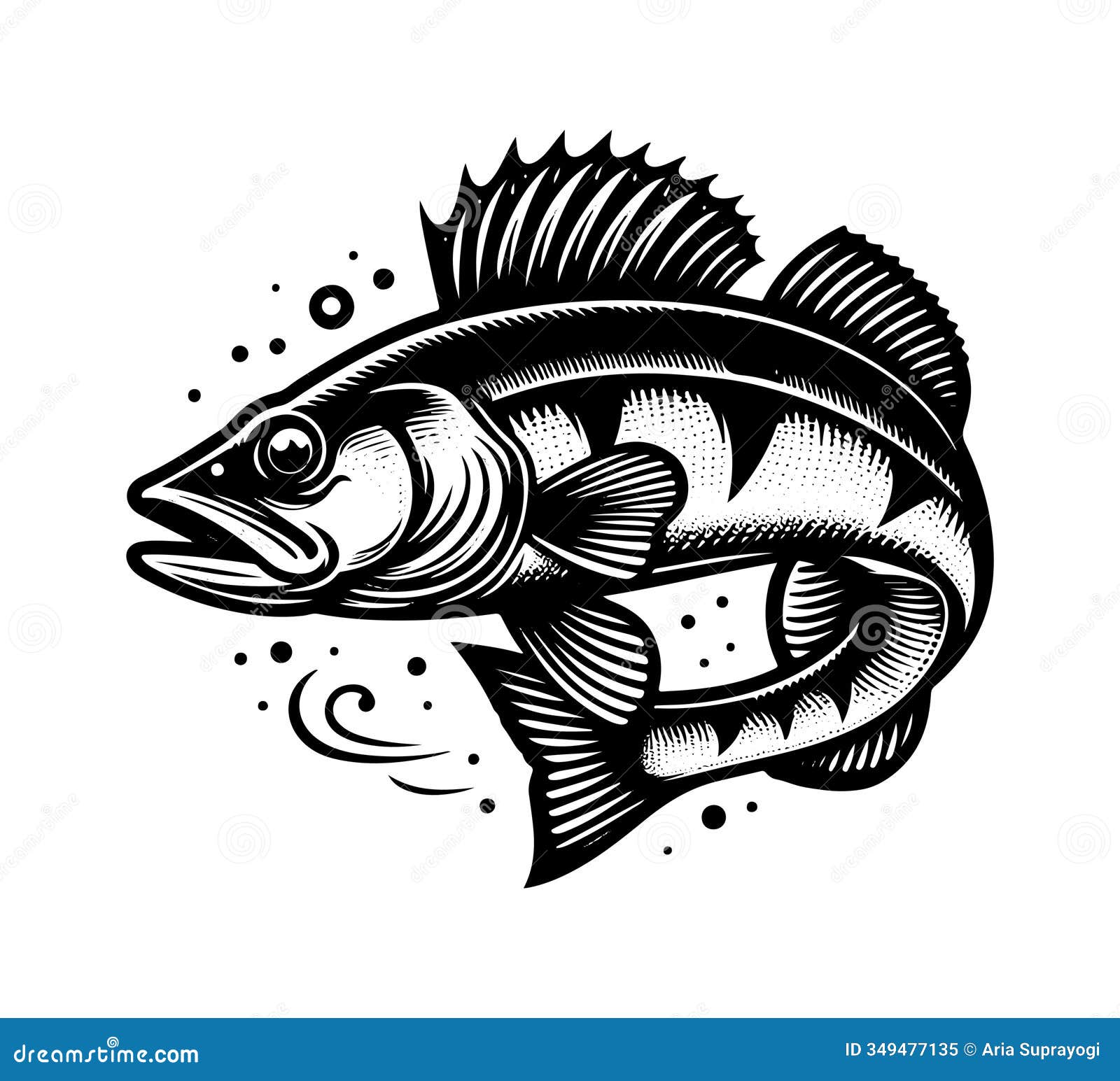 Walleye Fish Hand Drawn Vintage Vector Stock Illustration ...