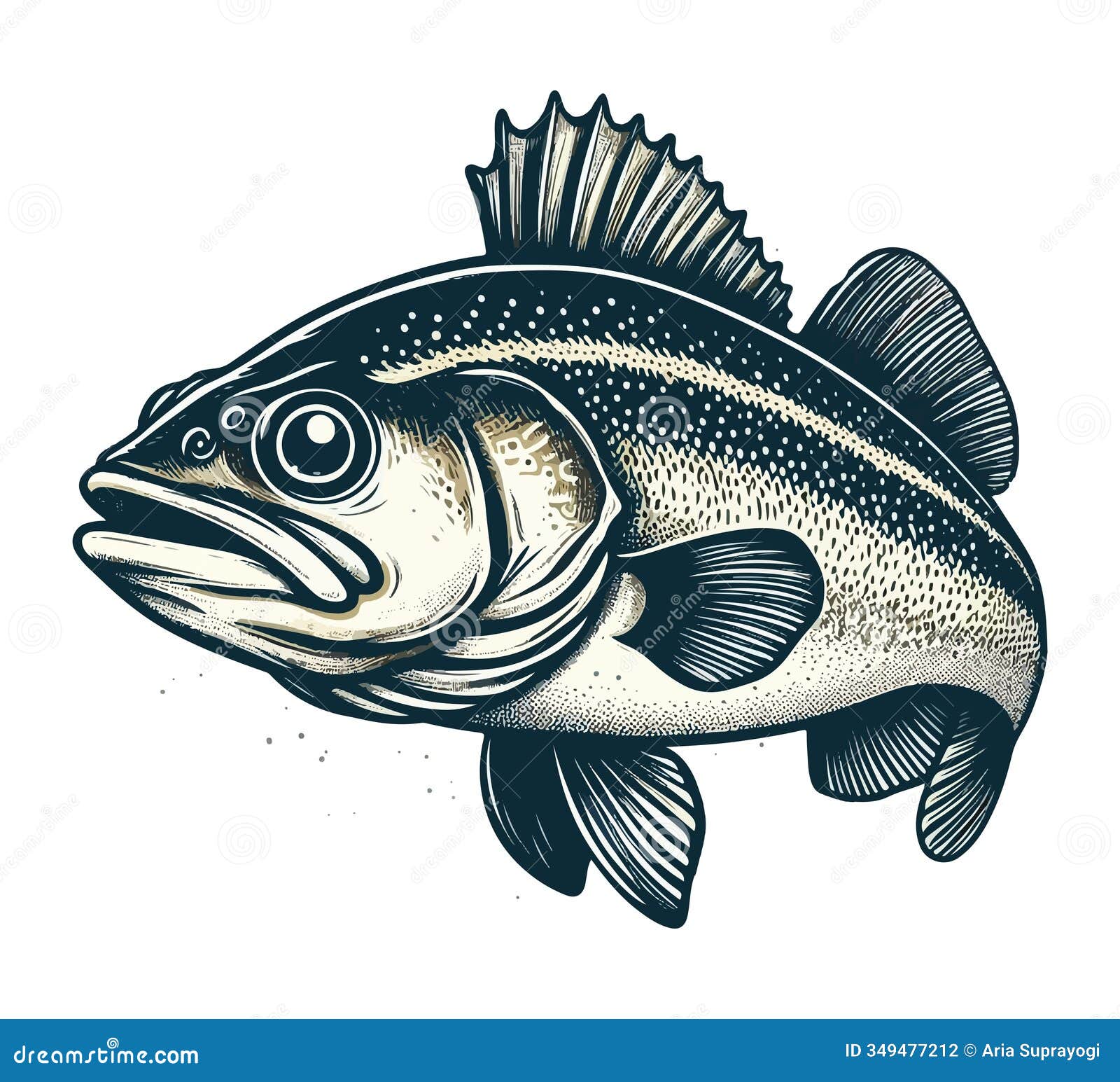 Walleye Fish Hand Drawn Vintage Vector Stock Illustration ...