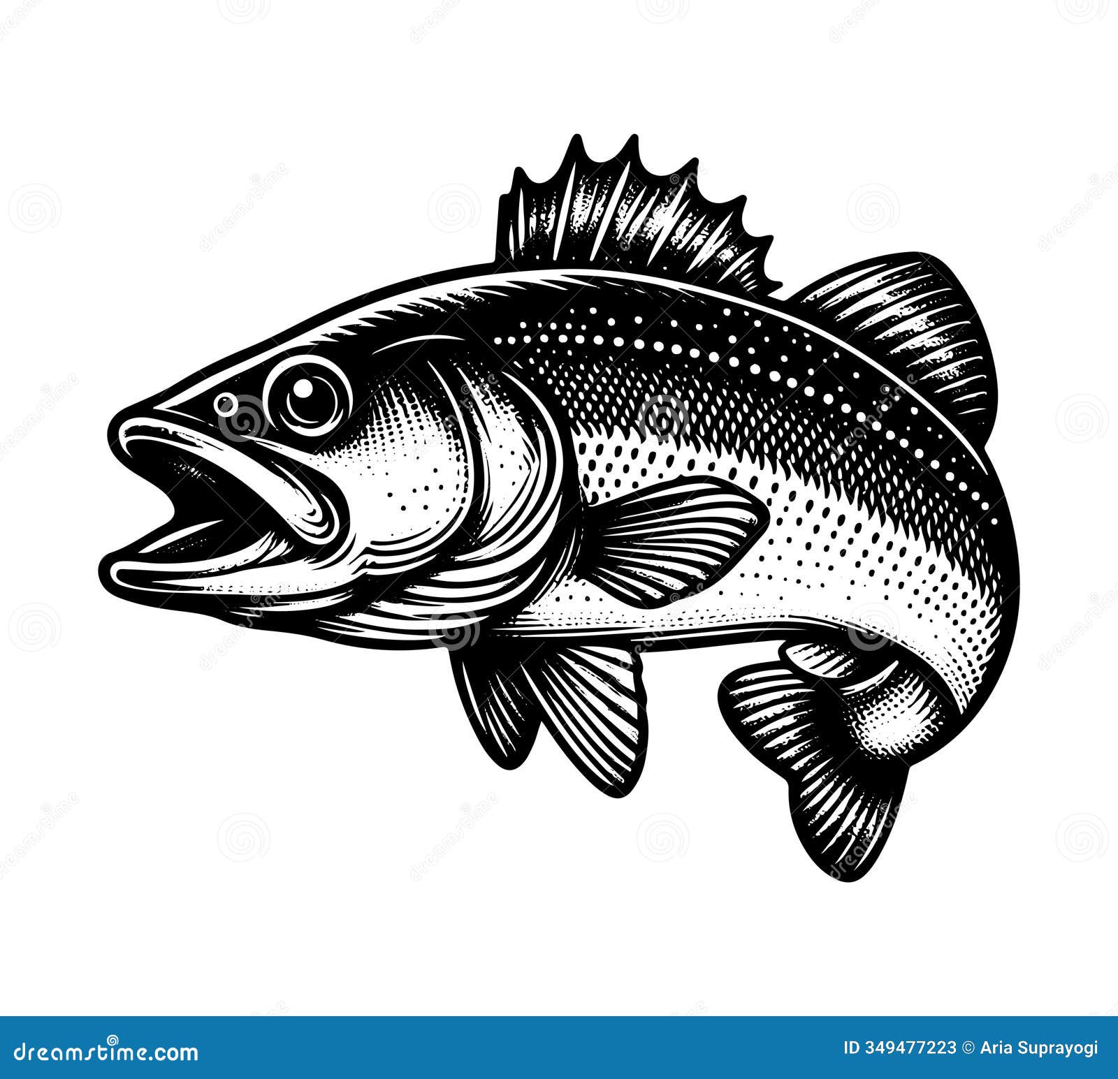 Walleye Fish Hand Drawn Vintage Vector Stock Illustration ...