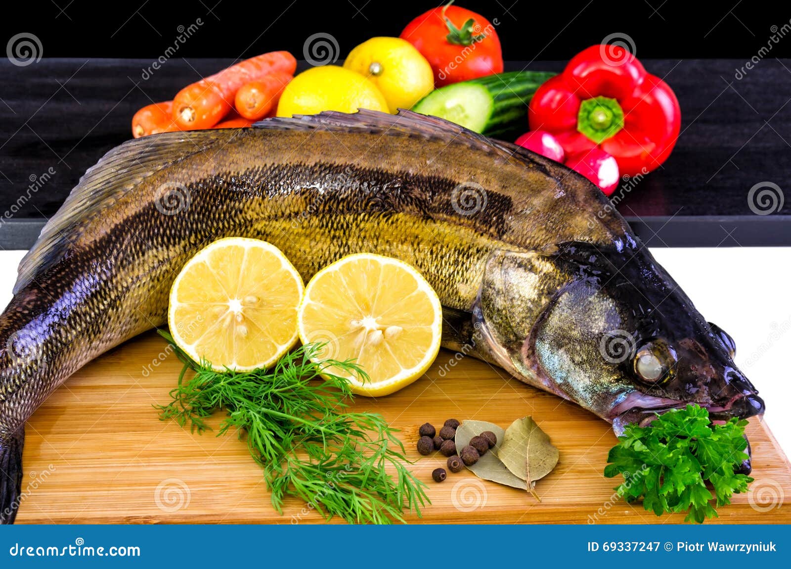 A Walleye Fish In Mille Lacs Lake, Minnesota Royalty-Free Stock ...