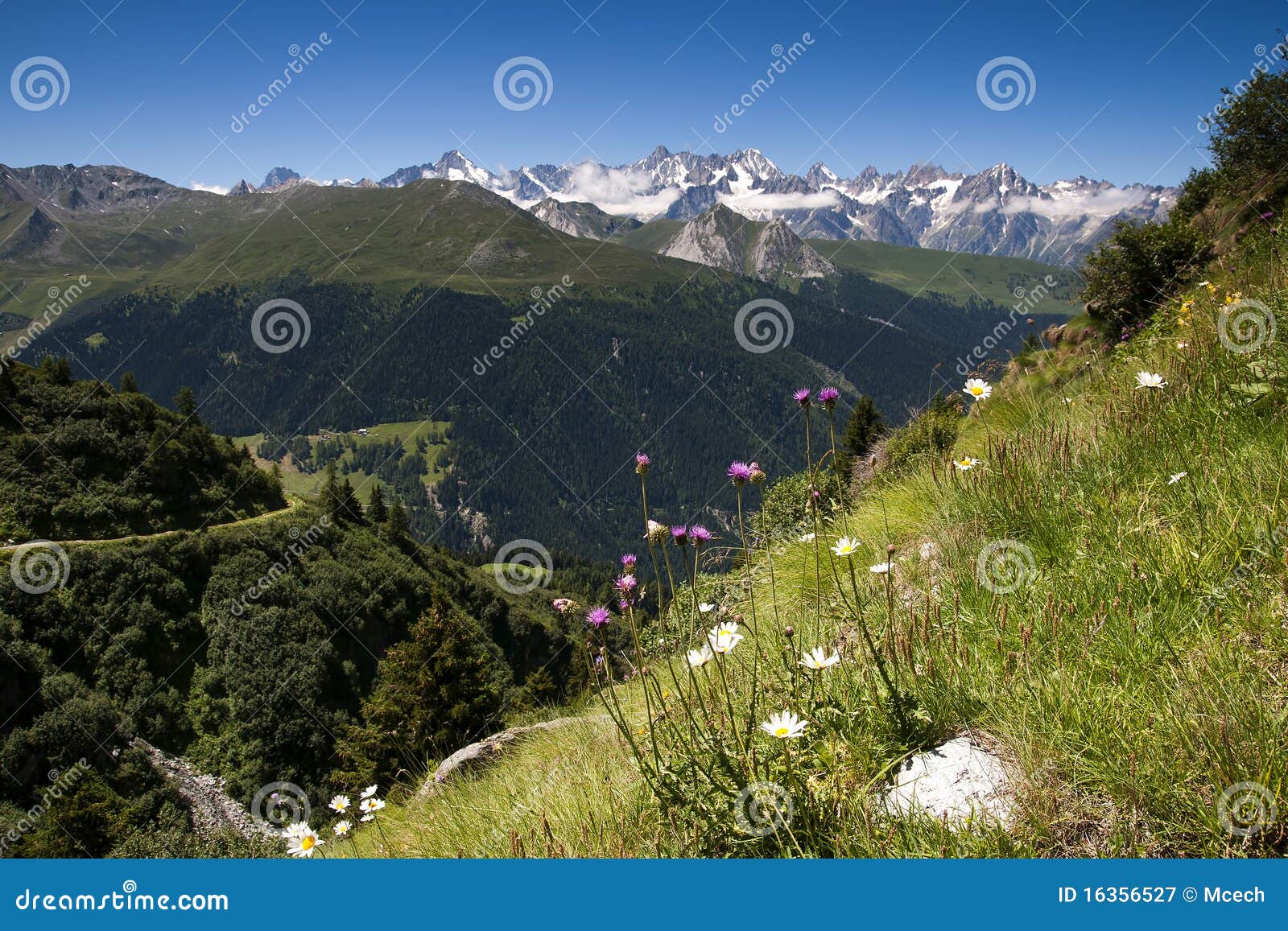 Wallis Alps stock image. Image of high, combin, summer - 16356527