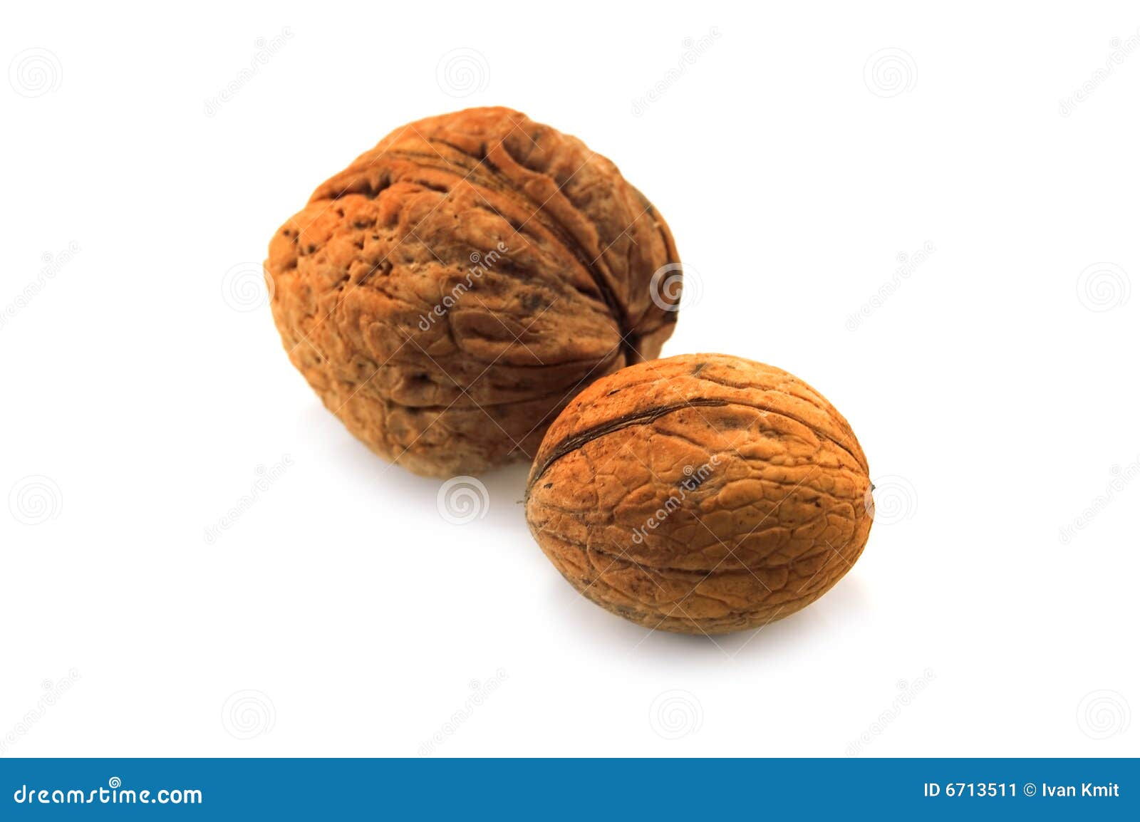 Wallnut stock image. Image of dried, healthy, white, walnut - 6713511