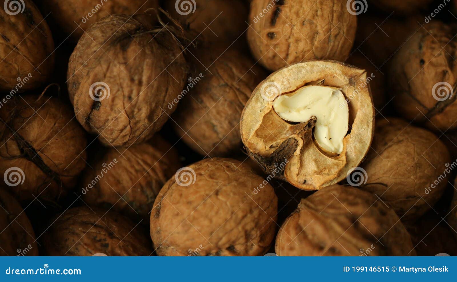 Wallnut, Walnuts in Shell, Brown, Fresh Wallnut Stock Image - Image of ...