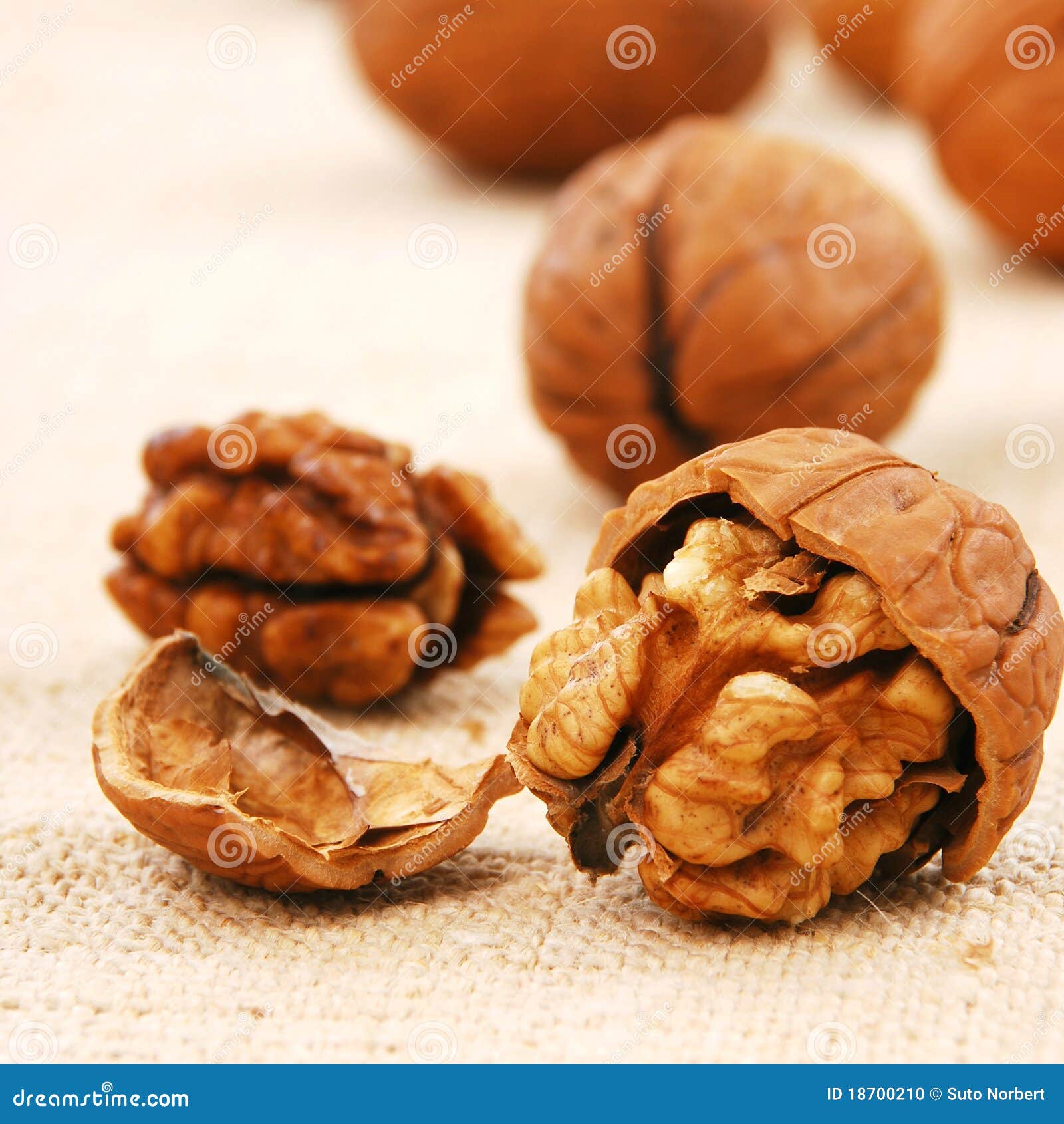 Wallnuts stock photo. Image of line, apetite, fall, object - 18700210