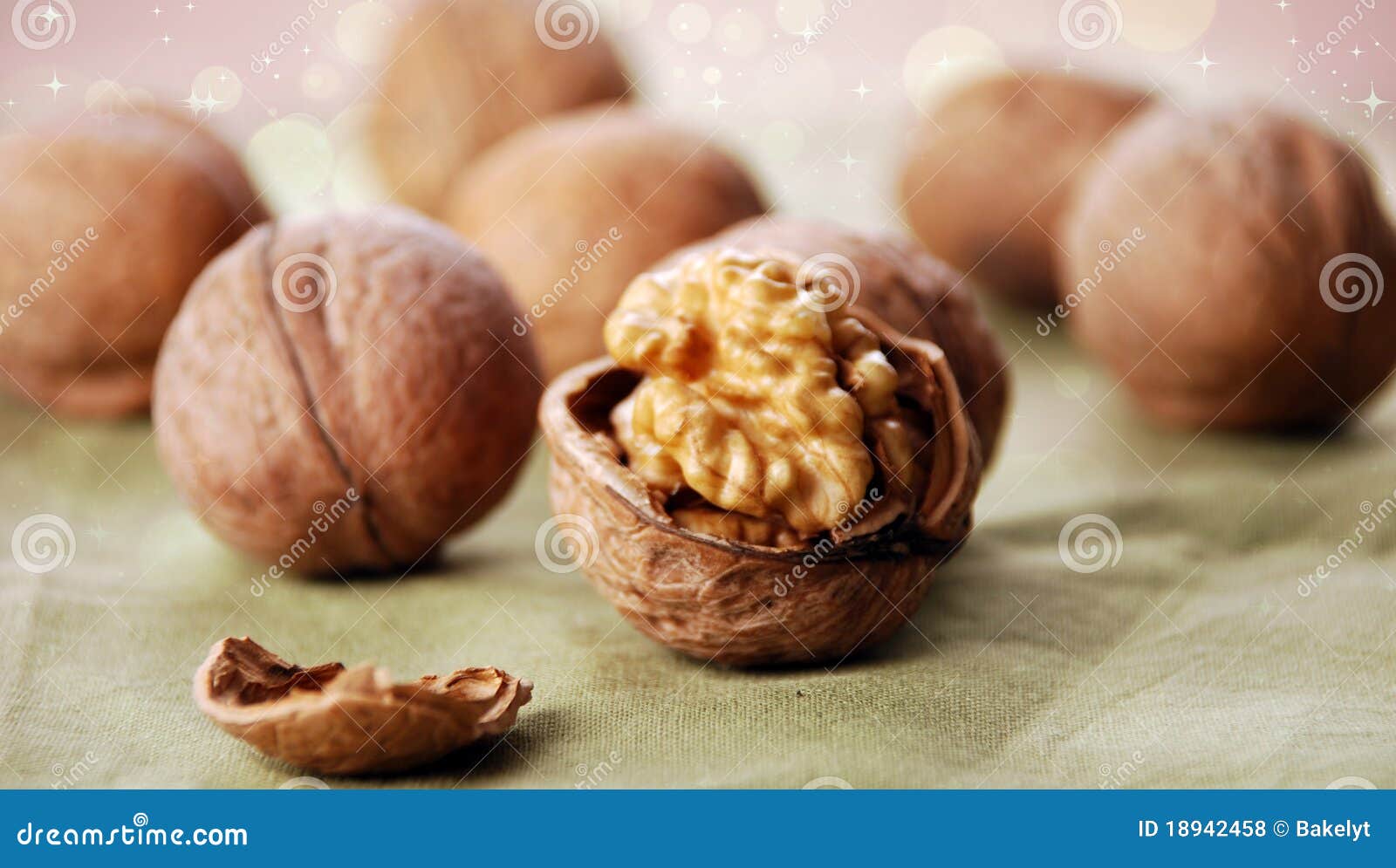 Wallnuts stock photo. Image of fruit, line, healthy, dried - 18942458