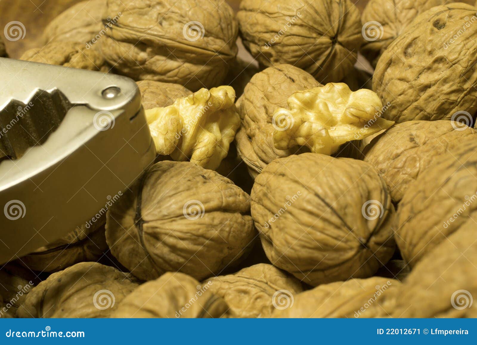Wallnuts stock image. Image of fruit, food, metal, nutrition - 22012671