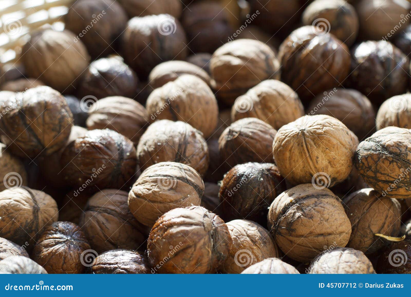 Wallnuts Stock Photo | CartoonDealer.com #45707712