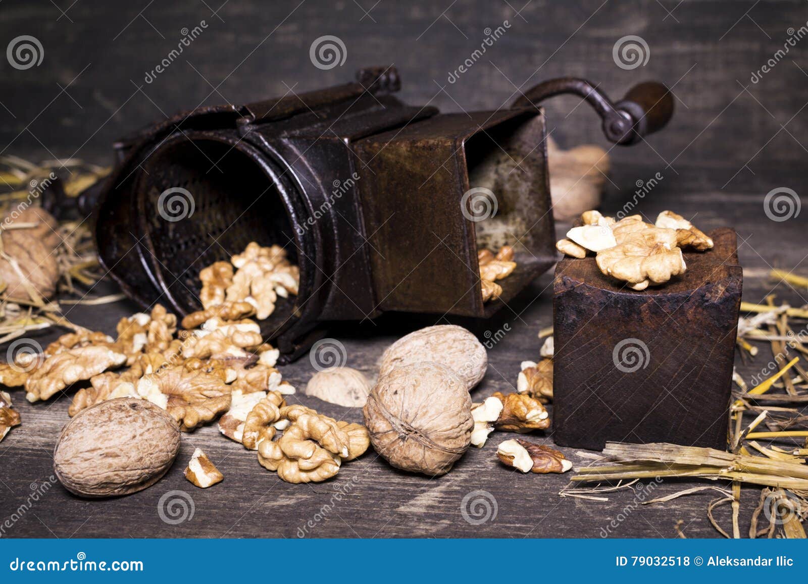 Wallnuts and Hand Walnuts Grinder Stock Photo - Image of machine ...