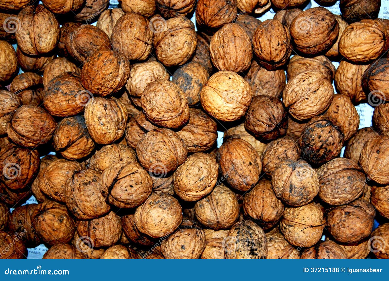 Walnuts stock photo. Image of nuts, walnuts, xmas, fruits - 37215188