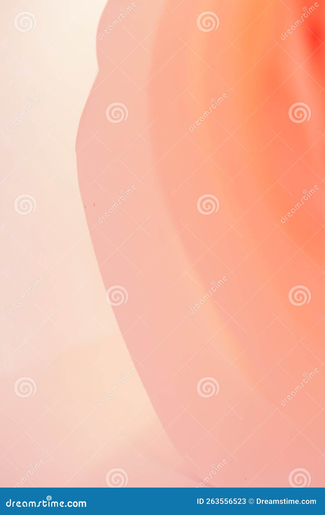 Wallpaper Abstract with Pink Gradient.Pink Layers Abstract Background ...
