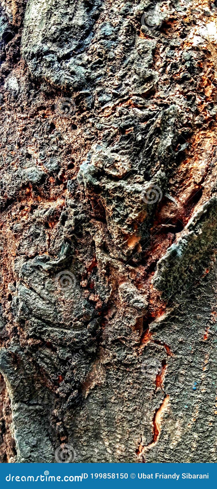 Wallpaper with Attractive and Beautiful Textures Stock Photo - Image of ...