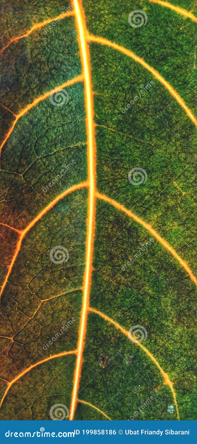 Wallpaper with Attractive and Beautiful Textures Stock Photo - Image of ...