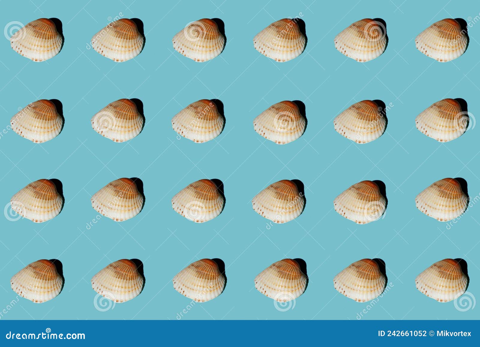 Wallpaper Background Image of Seashells on a Blue Background Stock ...