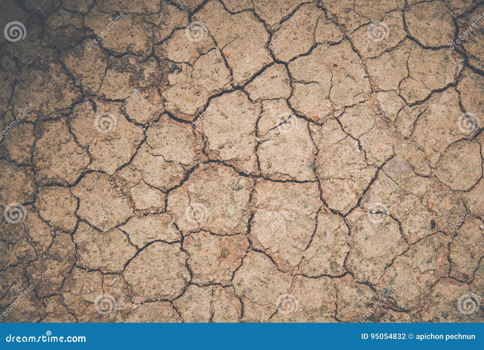 Wallpaper, cracked soil stock photo. Image of textured - 95054832