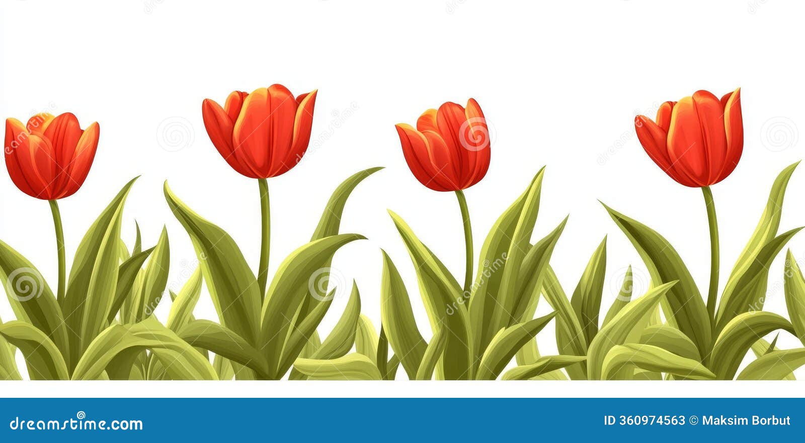 The Wallpaper Features a Spring Background, a Tulip Flower at the ...