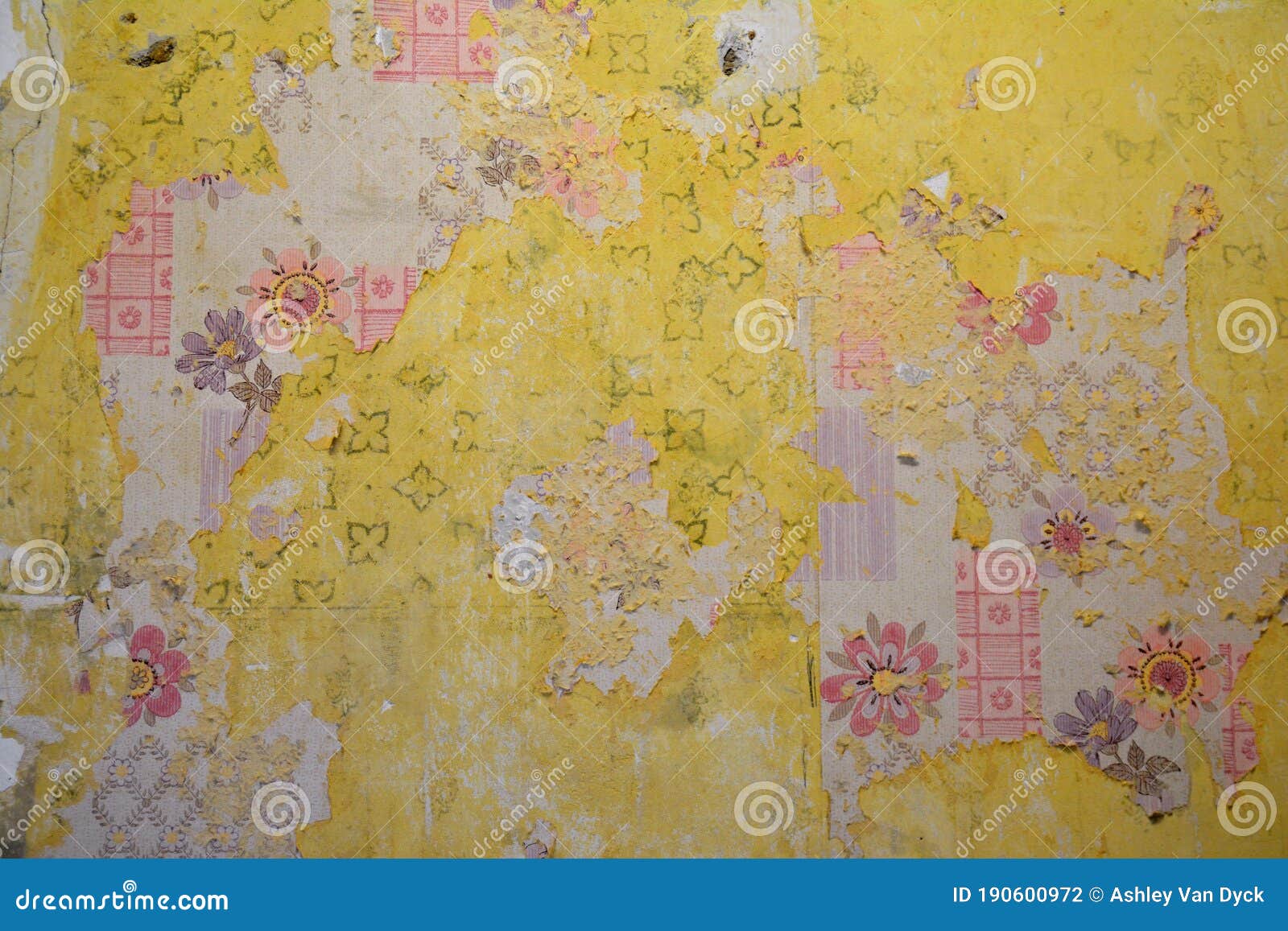 Wallpaper Layers Royalty-Free Stock Photo | CartoonDealer.com #37422741