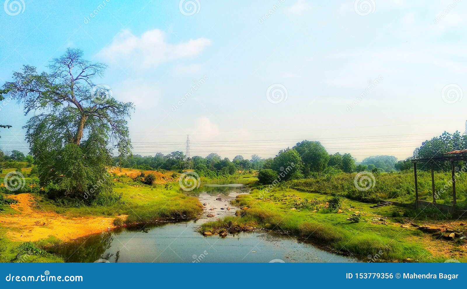 Wallpaper stock photo. Image of tree, river, nature - 153779356