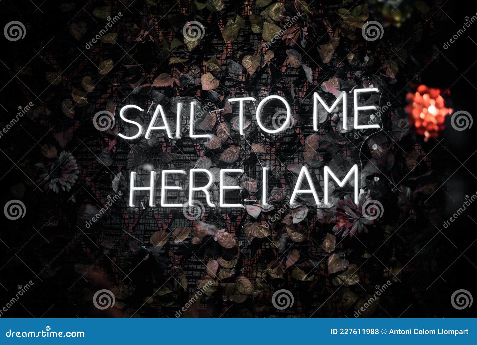 Wallpaper with nice phrase stock photo. Image of presentation - 227611988