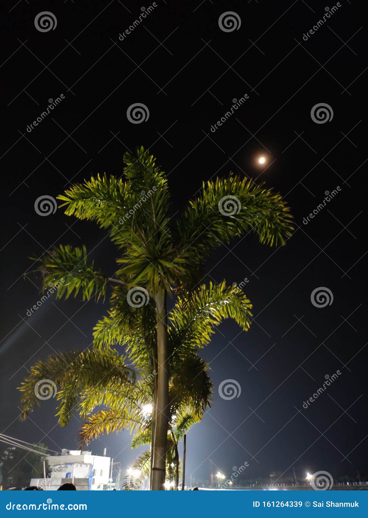 Wallpaper stock image. Image of night, tree, moon, wallpaper - 161264339