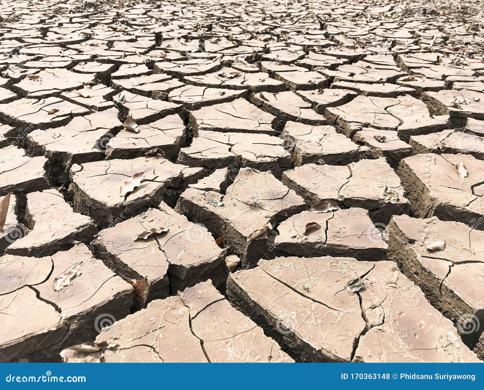 Patterns and Textures Cracked Soil,Drought of the Ground,Ideal for ...