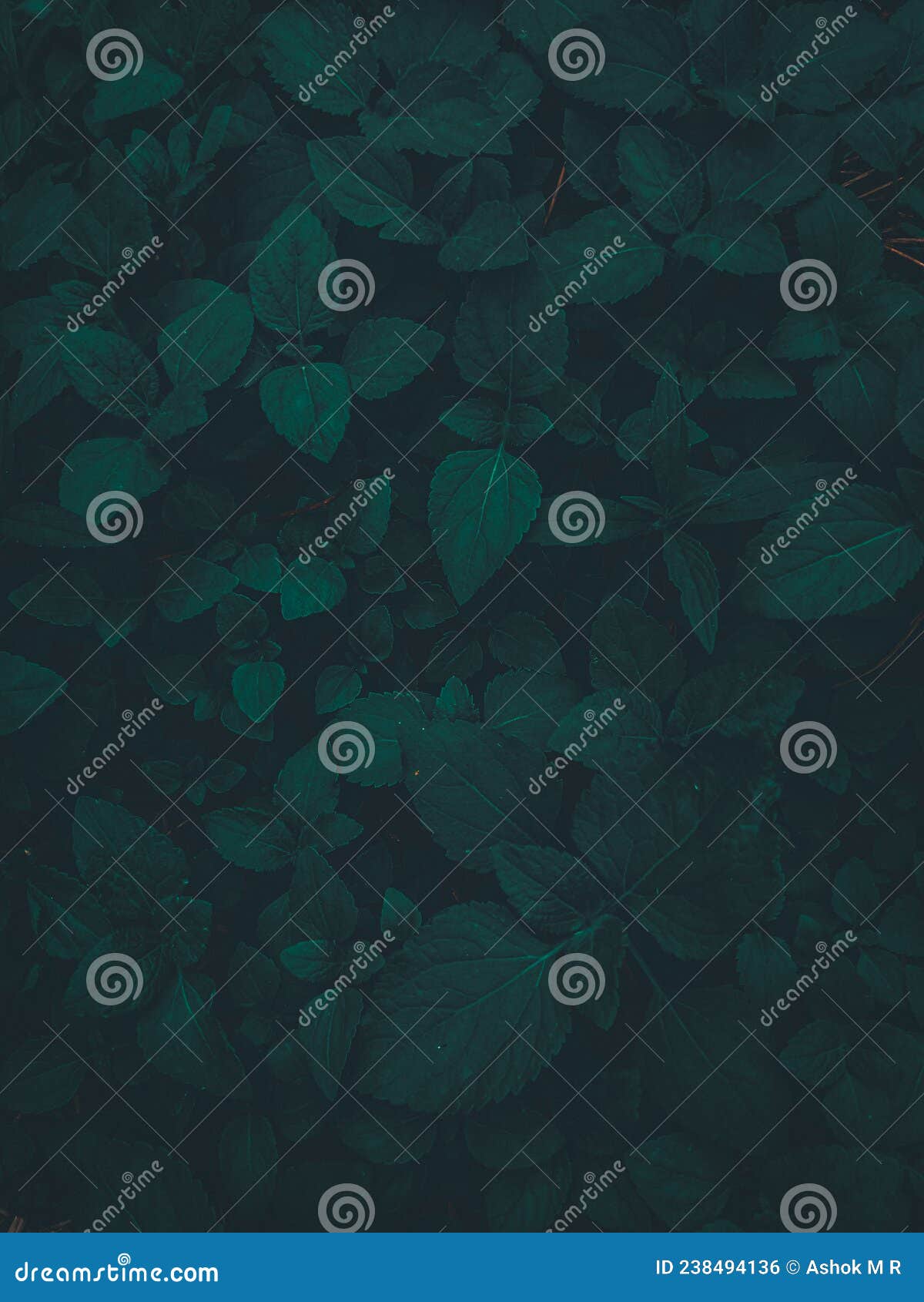 Wallpaper for Pc and Android,ios Stock Illustration - Illustration of ...