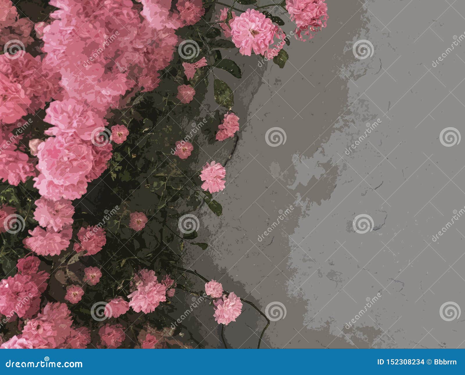 Wallpaper with Pink Roses Over Gray Background Stock Photo - Image of ...