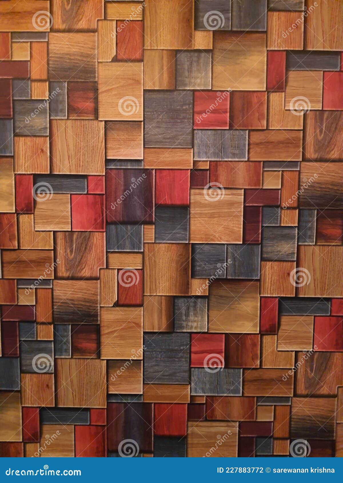 Wallpaper random woods stock photo. Image of random - 227883772