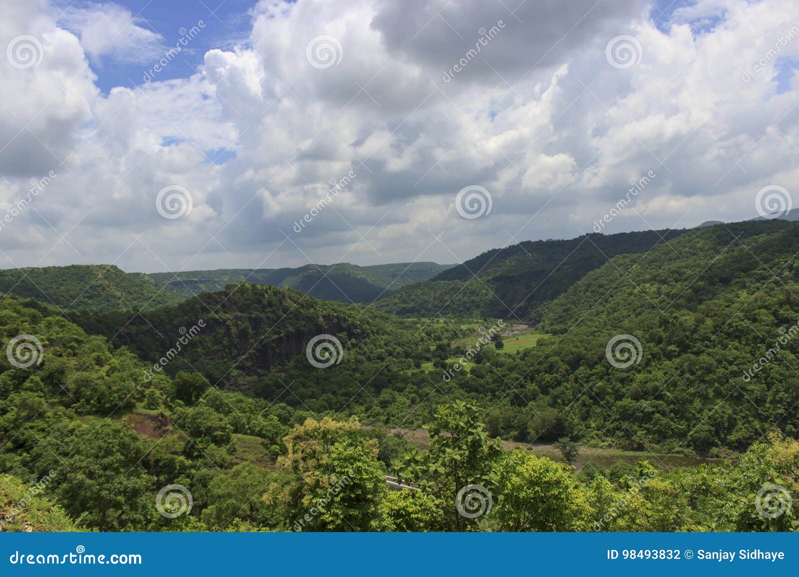 Wallpaper stock photo. Image of indore, tree, wallpaper - 98493832