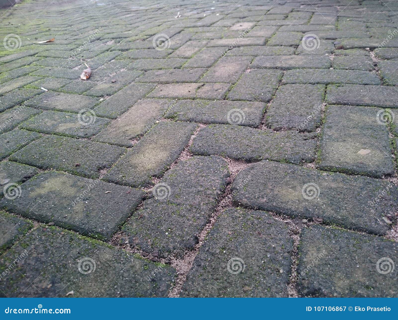 Background Rough Floor Surface Stock Image - Image of wallpaper, floor ...