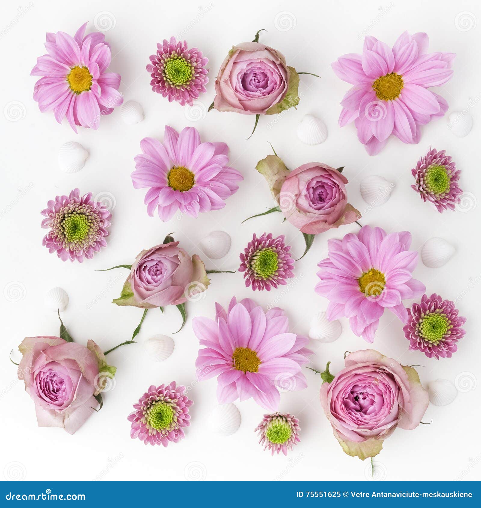 Wallpaper, Texture. Pink Flowers on White Background. Flat Lay, Top ...