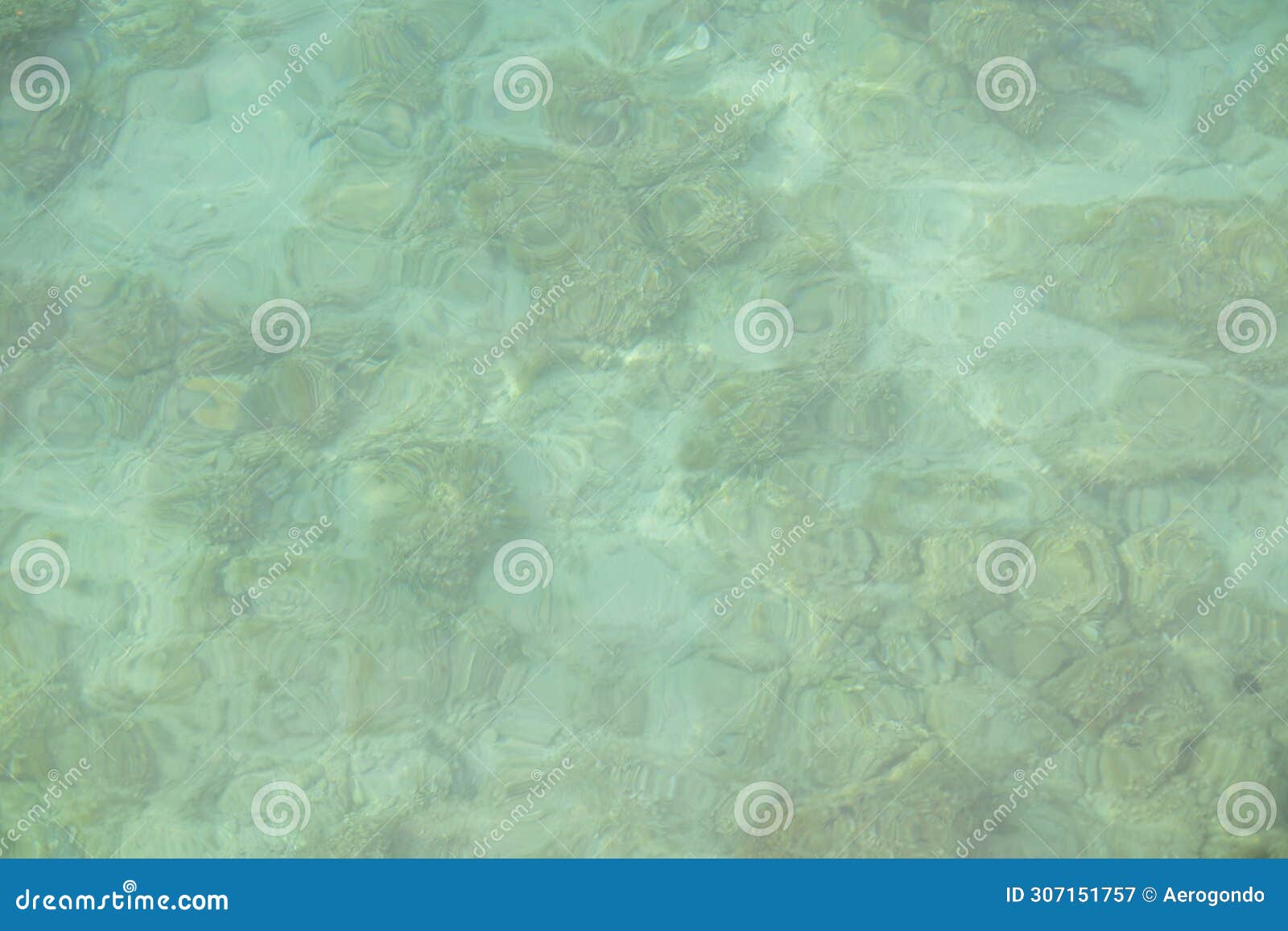 Wallpaper Texture of Transparent Ocean Water with Rocks Beneath Stock ...