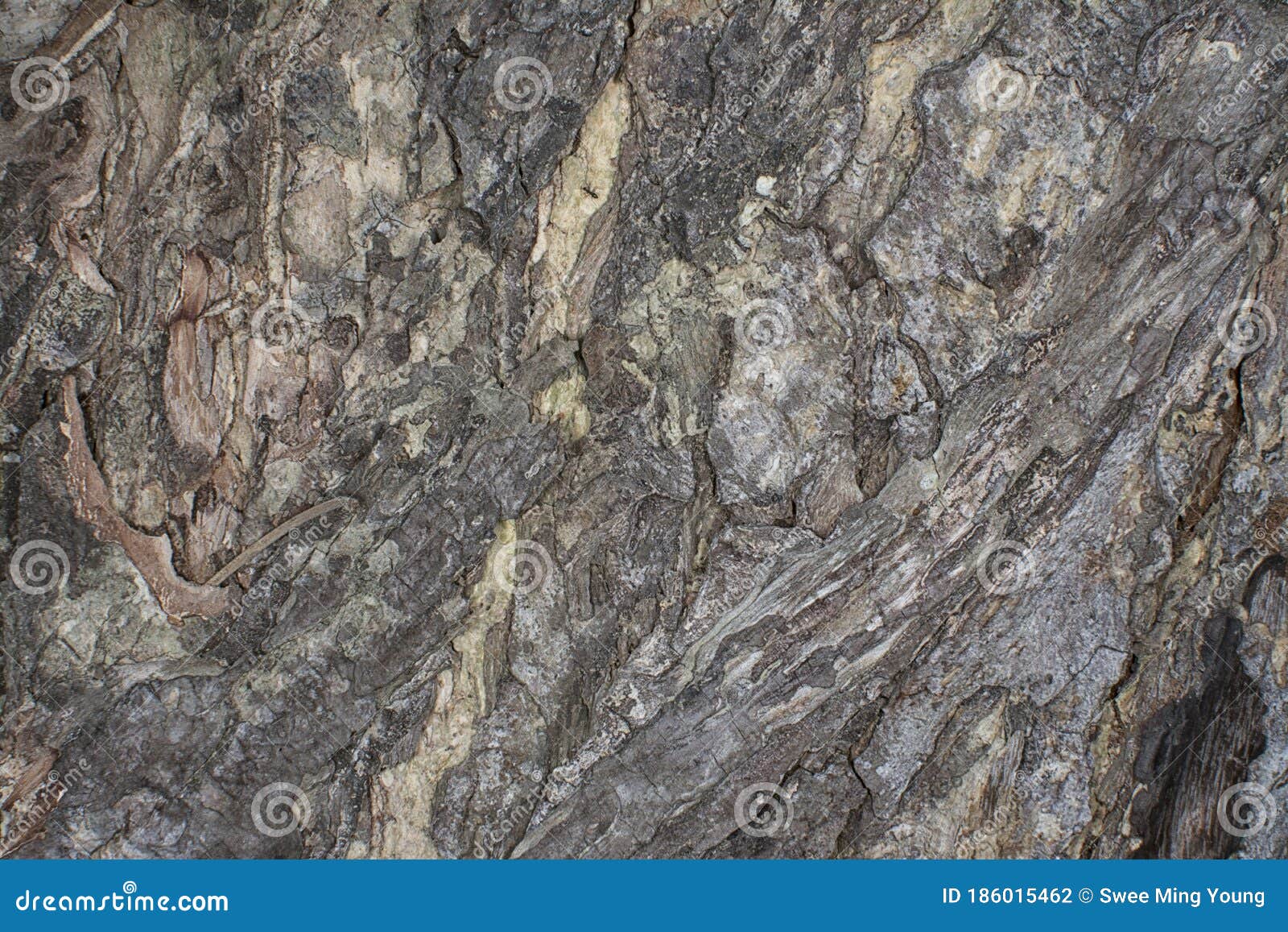 Unique Textures and Backgrounds for Decorative Wallpaper Stock ...