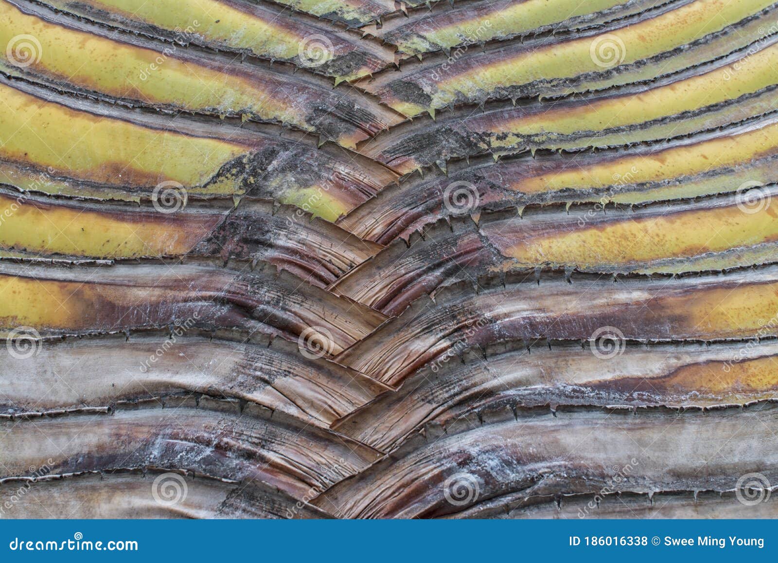 Unique Textures and Backgrounds for Decorative Wallpaper Stock ...